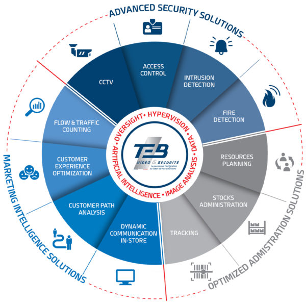 Security systems integrator - TEB V&S